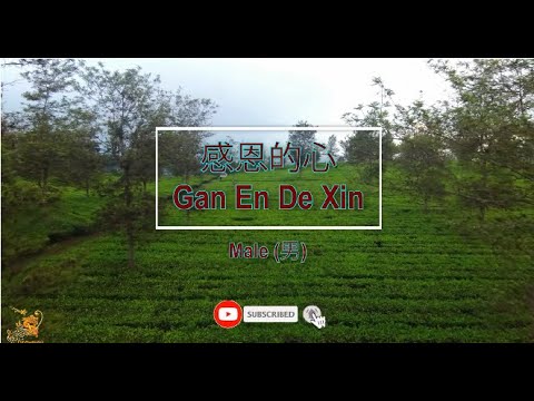 感恩的心 (Gan En De Xin) Male Version - Karaoke mandarin with drone view ...