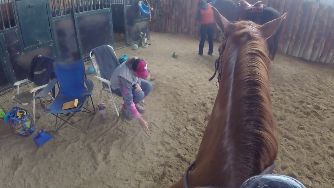 Ashley Villmow Professional Reining Horse Trainer, Lead Change Exercise ...