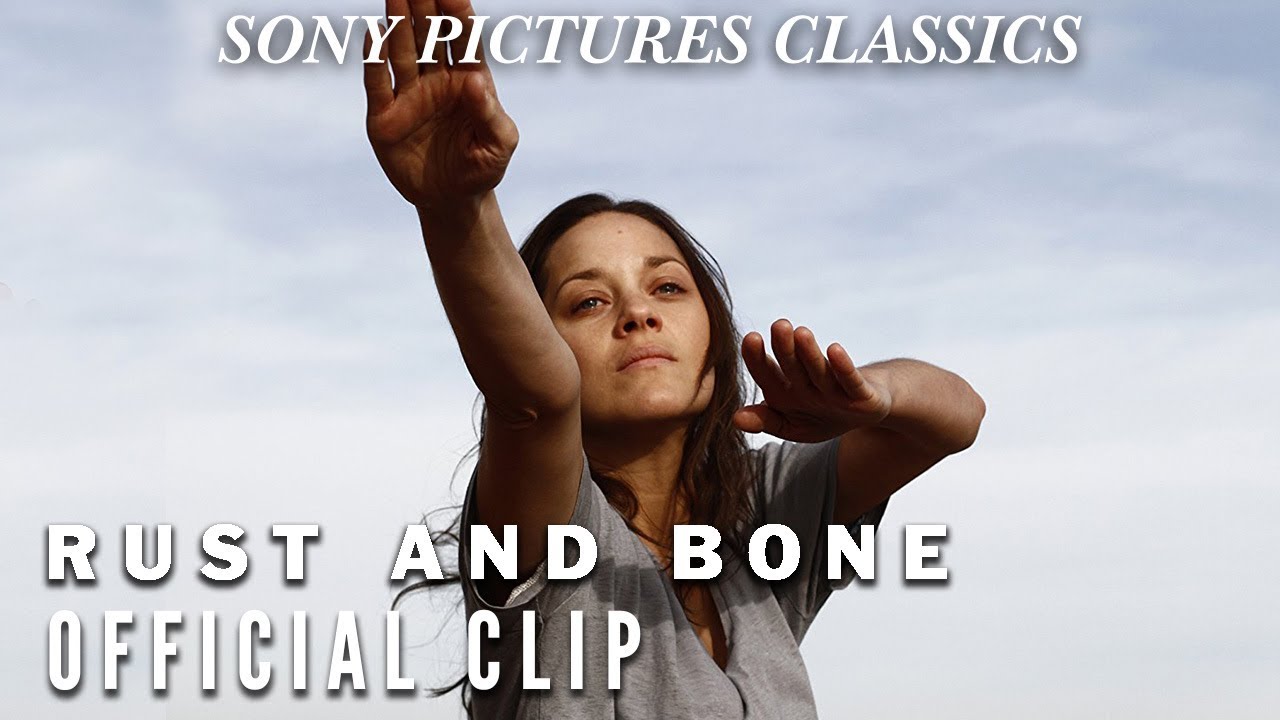 Rust And Bone Poster