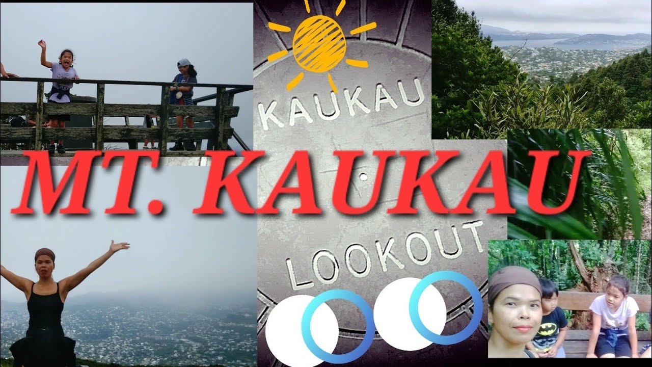 1 HR. HIKE TO MT. KAUKAU |WELLINGTON NZ #lookoutmountain #hike #mountainview |Super Mum Rho ...