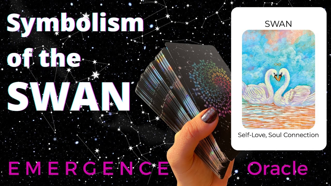🦢 Spiritual Meaning of Swans: Symbolism from E M E R G E N C E Oracle ...