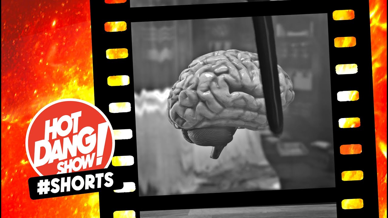 The Brain Challenge | Hot Dang Show #shorts - YouTube