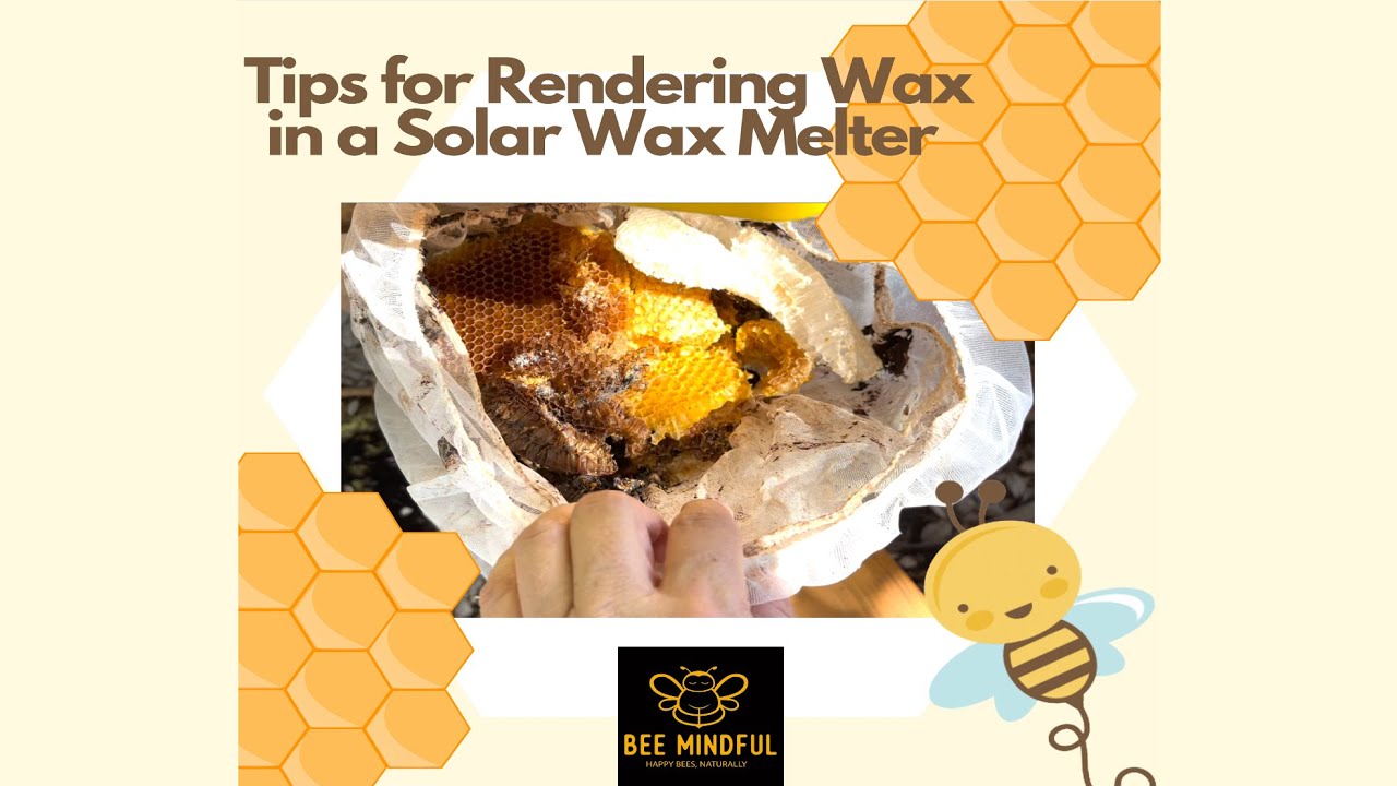 Beekeeping | Tips for Rendering Wax With A Solar Wax Melter - YouTube