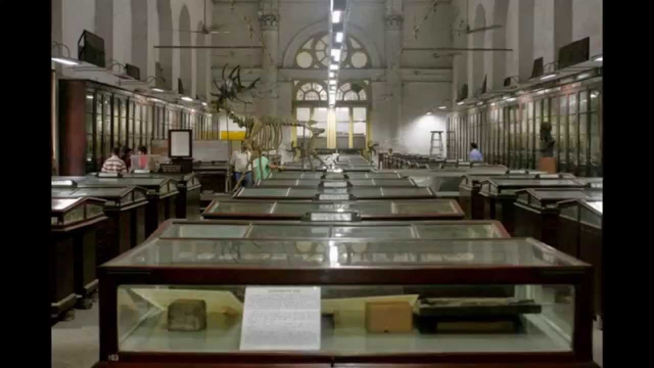 Indian Museum (Jadu Ghar) - YouTube
