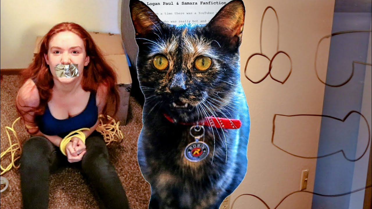 A Naughty Kitty | Comedy Sketch - YouTube