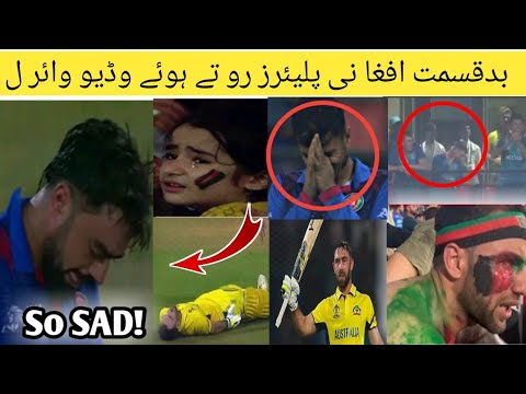 Glenn Maxwell Double Hundred|AUS vs AFG| So Sad😭 All Afghan players ...