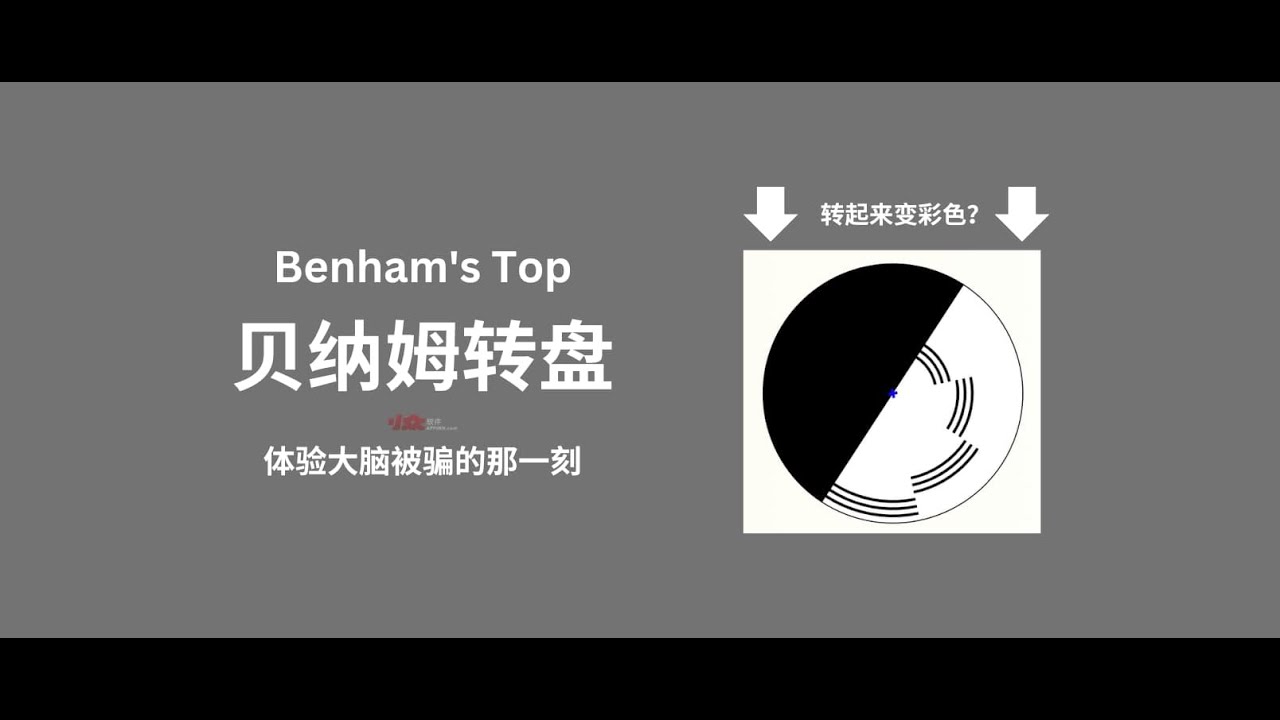 贝纳姆转盘 Benham's Top - YouTube