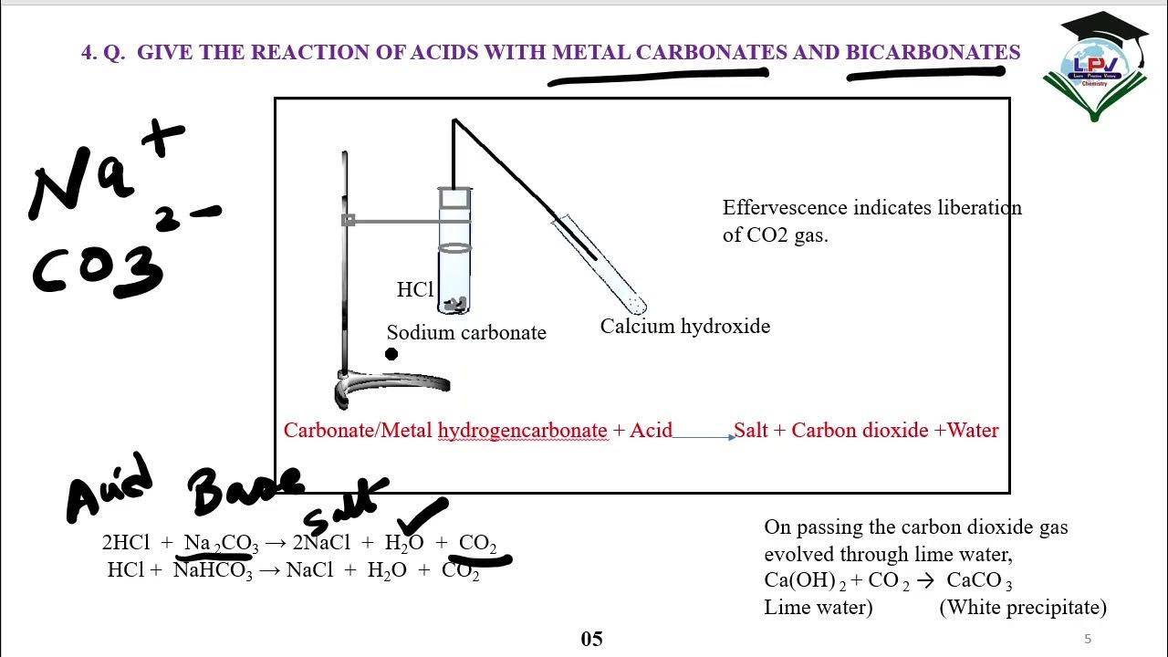 Reaction of acid and base with metal, metal carbonates and bicarbonate ...