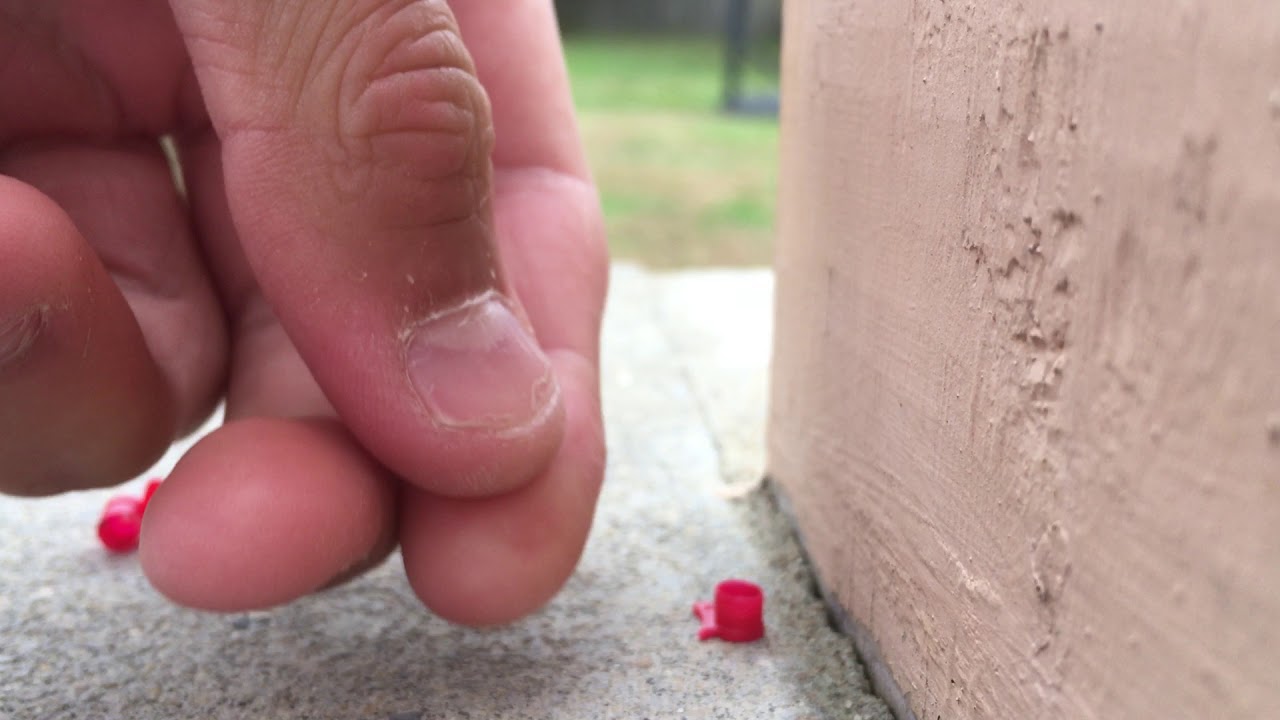 Explosive nerf dart 💥 - YouTube