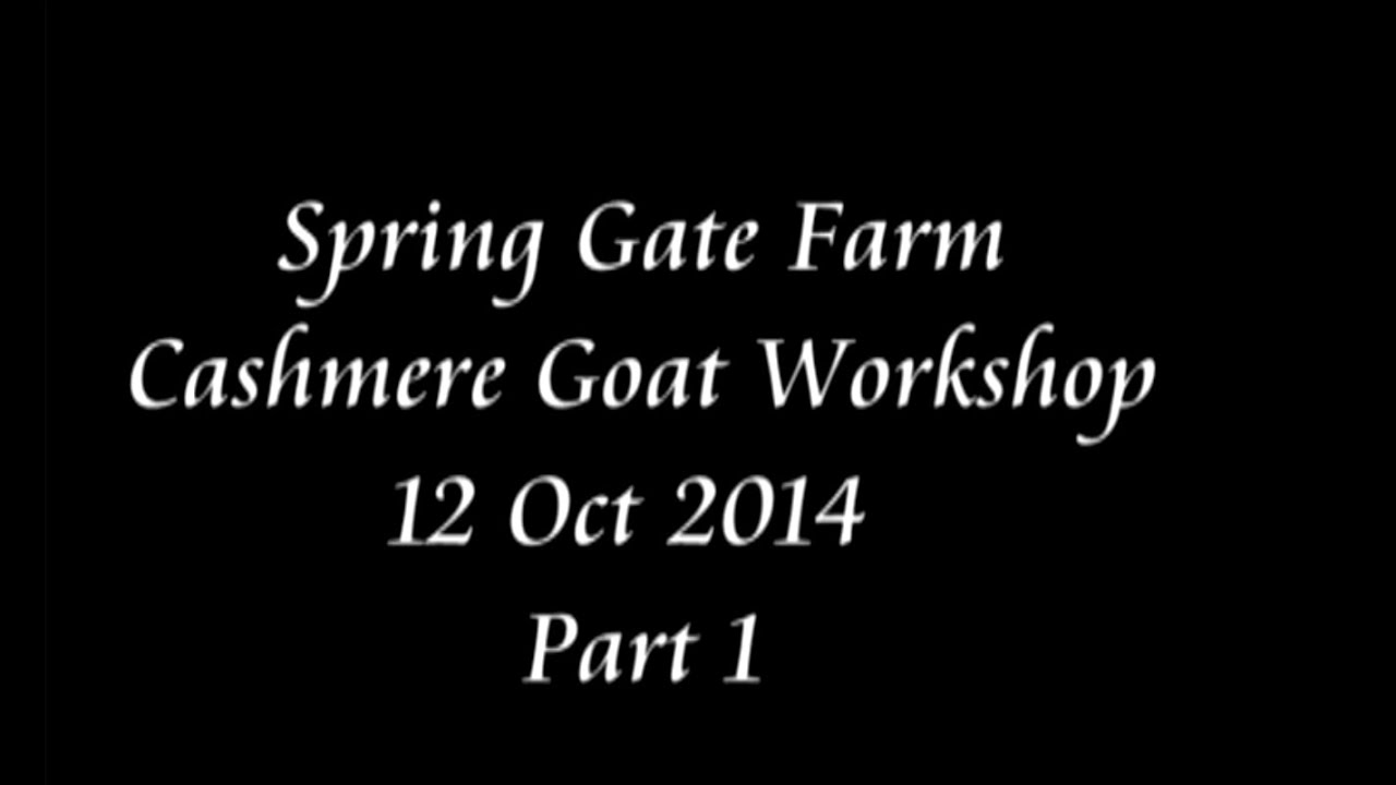 Joe David Springate Fiber Part 2 - YouTube