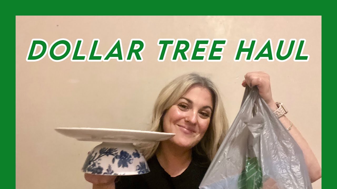 Dollar Tree Haul #haul #dollartwentyfivetree #dollartreehaul #shopping #dollartreeshopping - YouTube