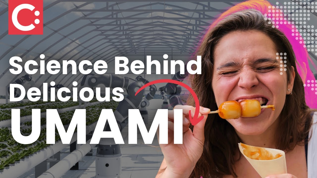 The Taste You Can’t Define: Umami - YouTube