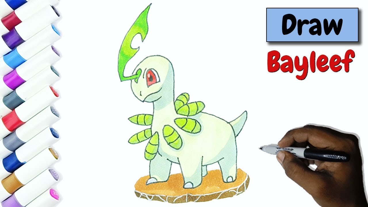 Drawing Bayleef !!! How To Draw Bayleef from Pokemon - YouTube