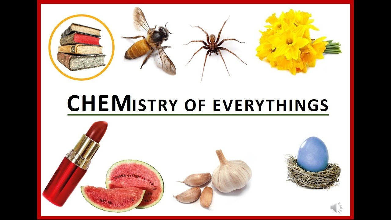 THE CHEMISTRY OF EVERYTHING |គីមីនៃអ្វីៗជុំវិញអ្នក - YouTube