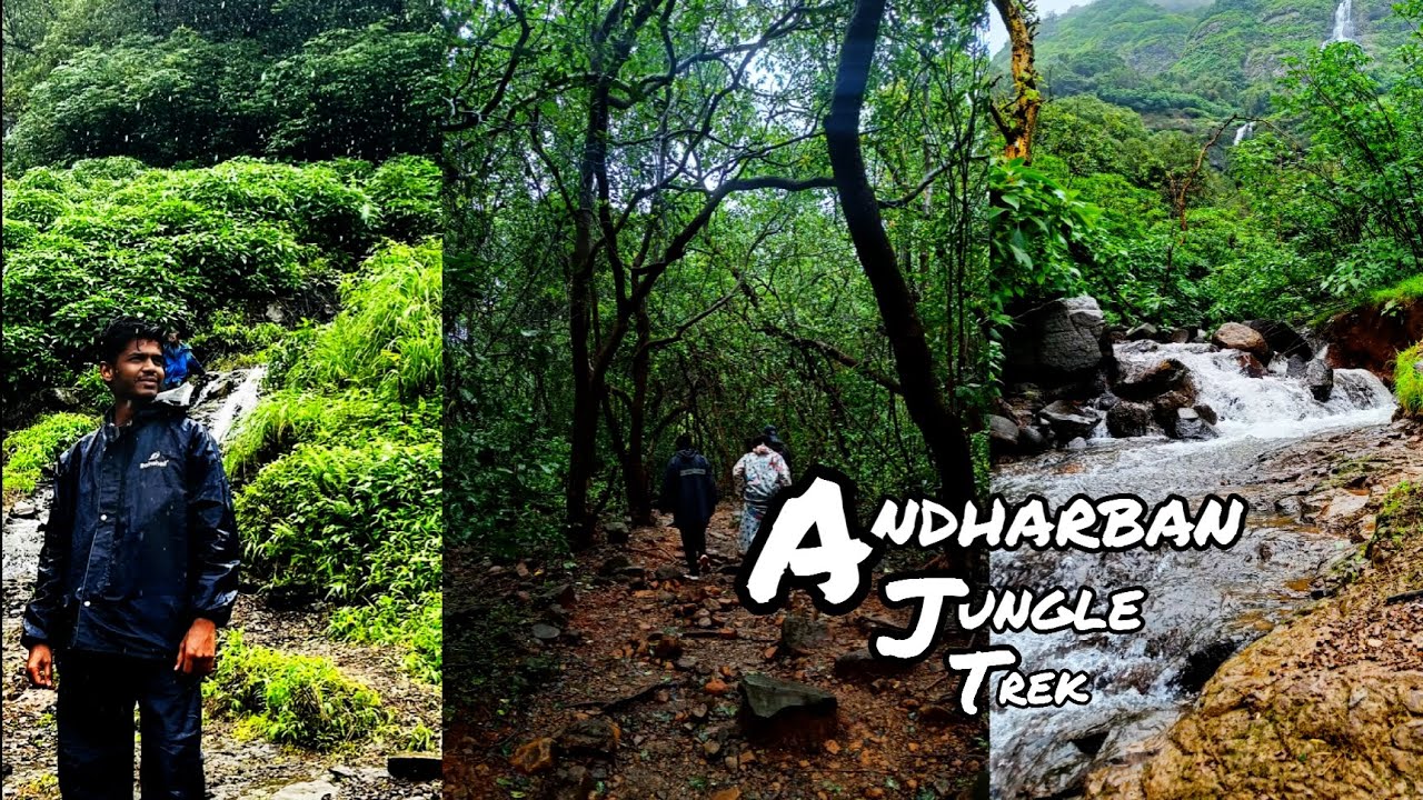 Andharban Jungle Trek | Dark Forest Of Maharashtra | Monsoon Trek # ...