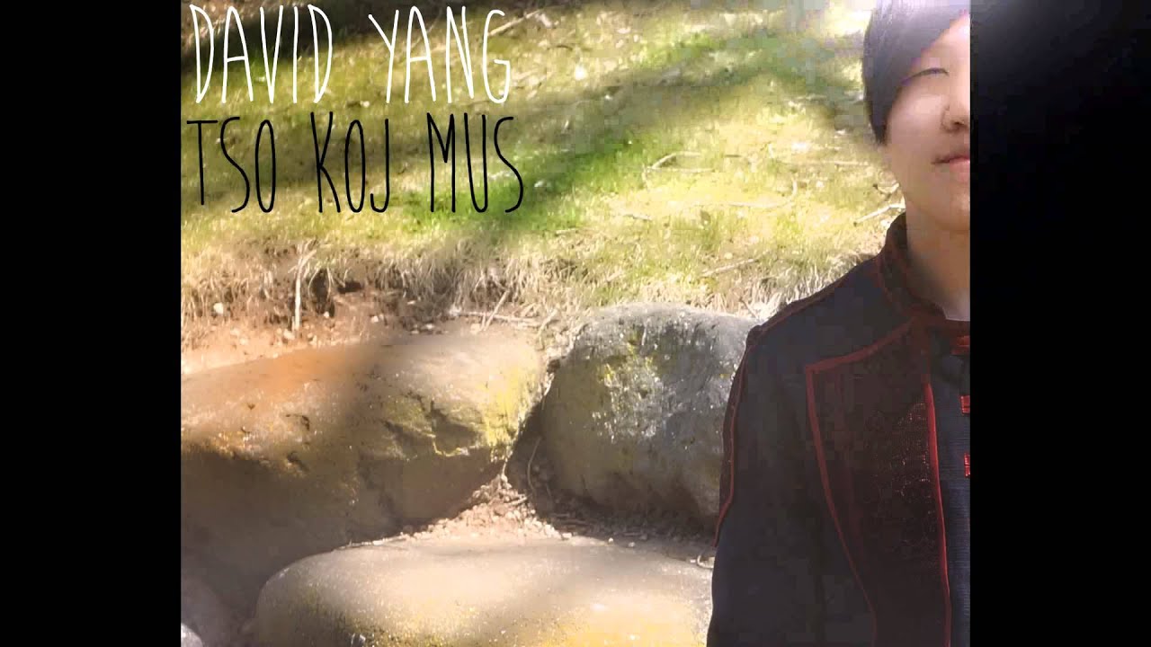 New Hmong song 2015 - Tso Koj Mus (David Yang) - YouTube