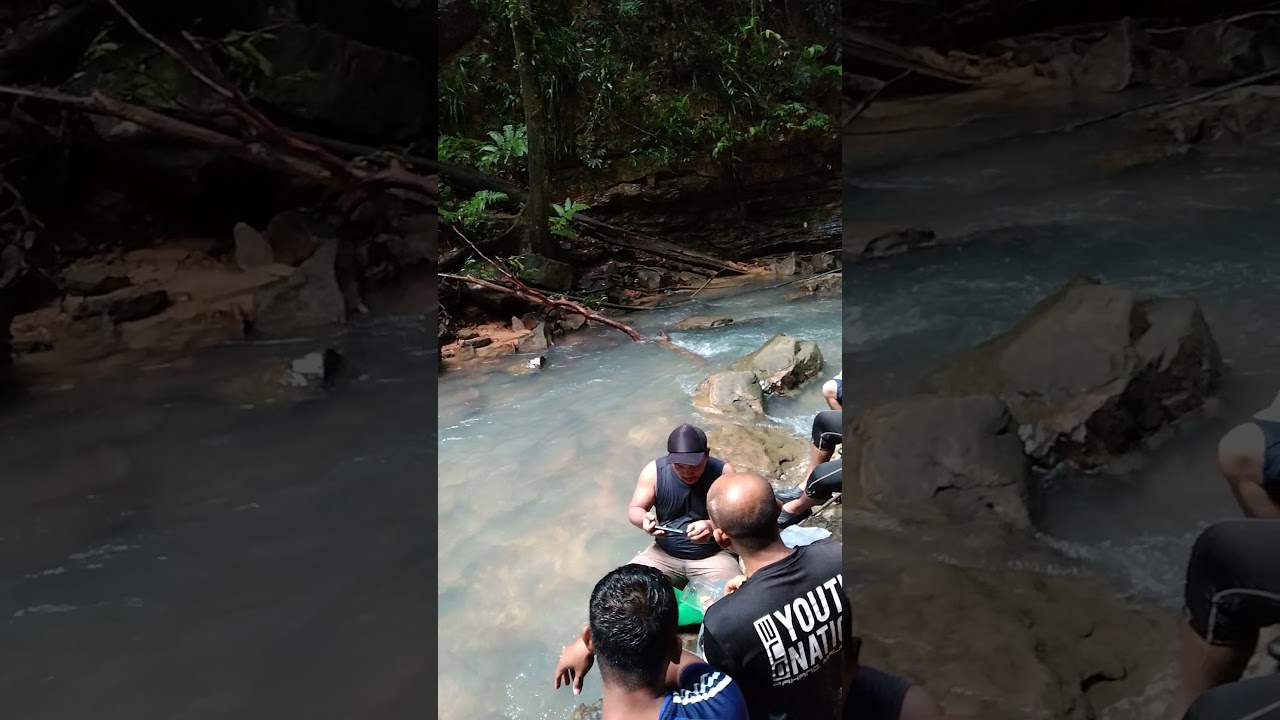 lata layang2 kampung pagi,ulu tembeling, Jerantut, Pahang - YouTube