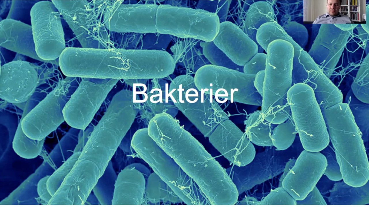 Bakterier: Föreläsning 2: Moment mikrobiologi - YouTube