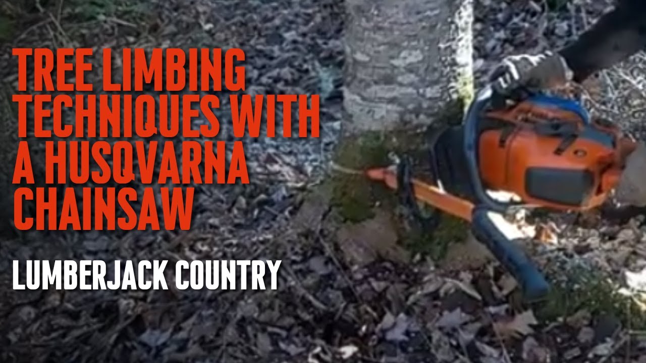 Tree Limbing Techniques with a Husqvarna Chainsaw - YouTube