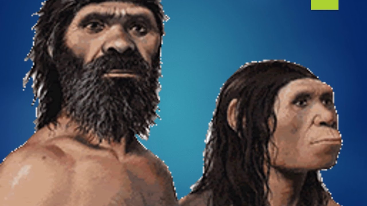 Evolución humana presentacion video - YouTube