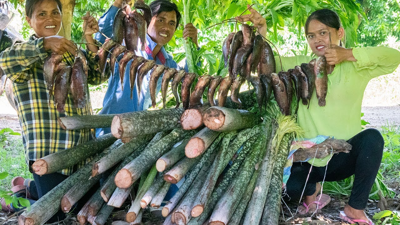 Cooking Proheur Elephant Foot Yam Tree Mixed Ingredients Recipe ...