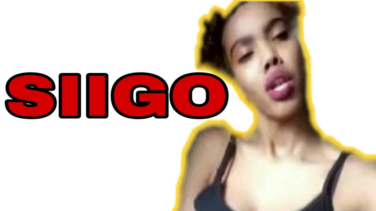 SIIGO GADHO IYO WIIL QOOQAN KACSI BULSHADA DHEXDEEDA .... - YouTube