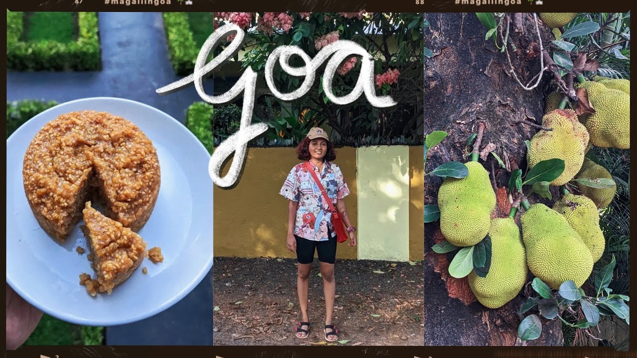 A peaceful walk in rural Goa 🌼 | eating traditional Goan food + sweets ...