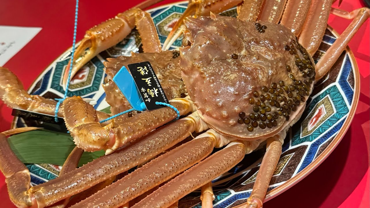 The most expensive crab in japan - YouTube
