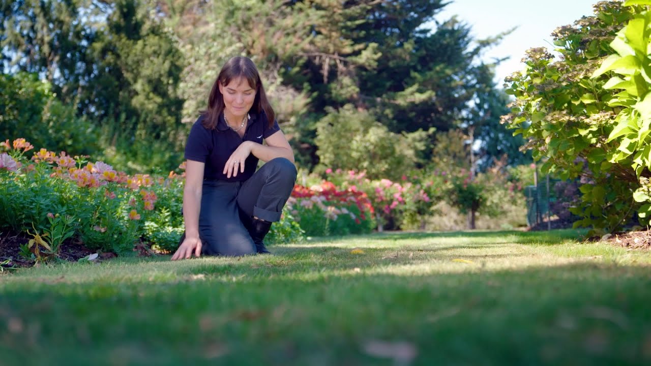 The Garden Gurus - 4 Important Tasks to do This Weekend - YouTube