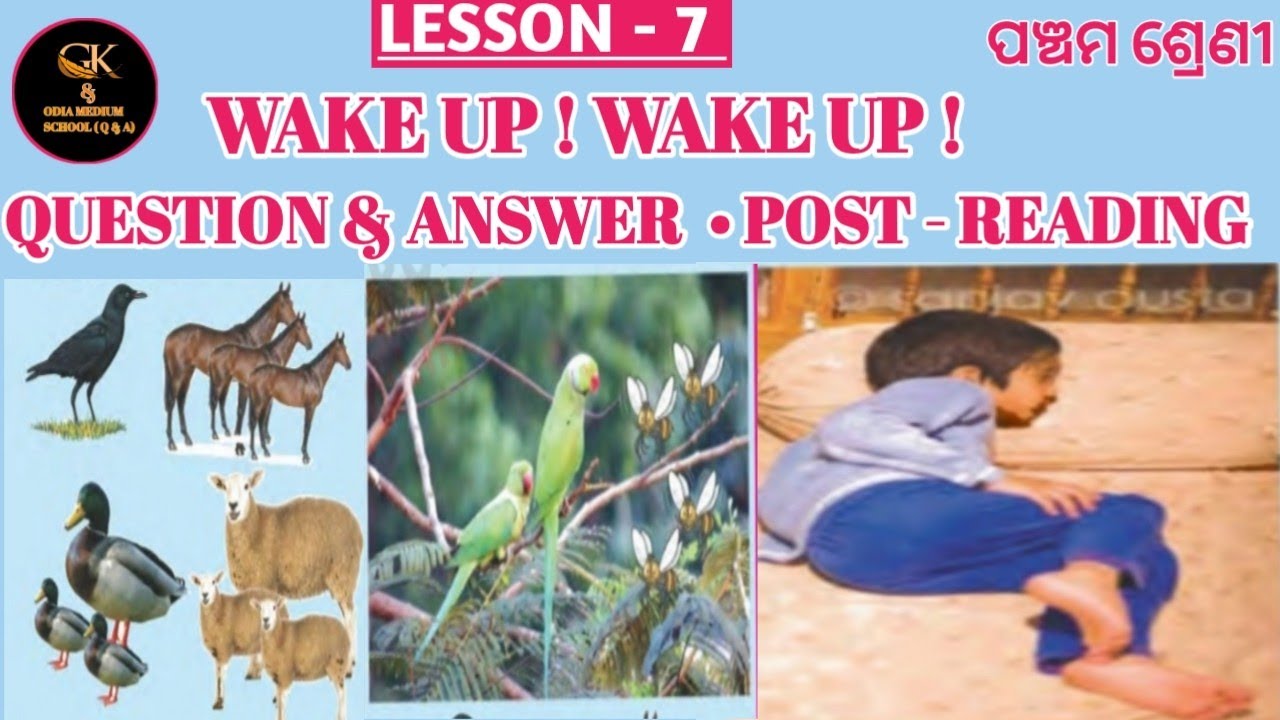 Wake Up ! Wake Up! Class 5 Lesson 7 Question Answer Post Reading ODIA ...