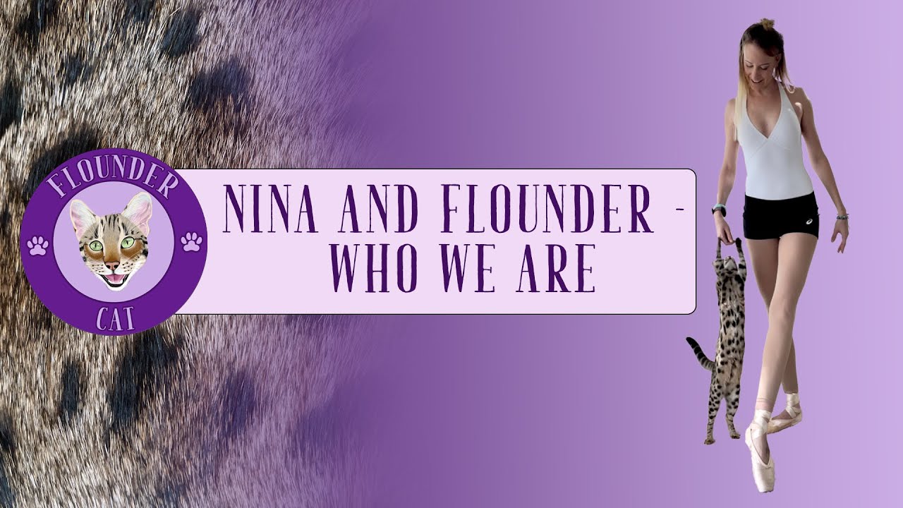 How To Train A Cat Nina And Flounder Explain It All YouTube how-to-train-a-cat-nina-and-flounder-explain-it-all-youtube
