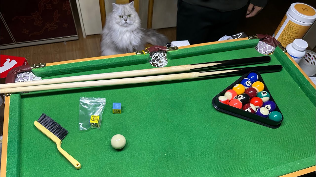 [미니 당구대] 포켓볼 , small billiards , mini pool table - YouTube