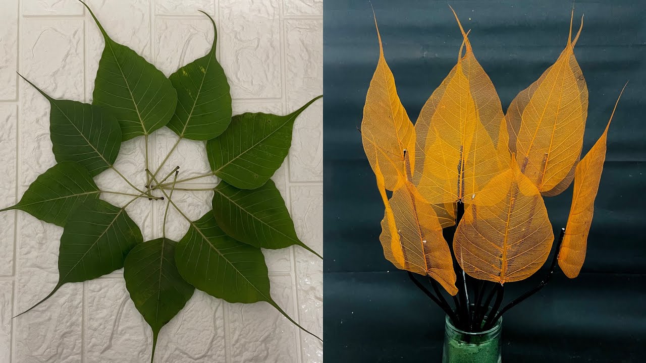 Skeleton leaf Craft Ideas | Home Decor Ideas | Mashhoora’s artistry ...