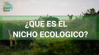 WHAT IS AN ECOLOGICAL NICHE? TYPES AND EXAMPLES | Doovi