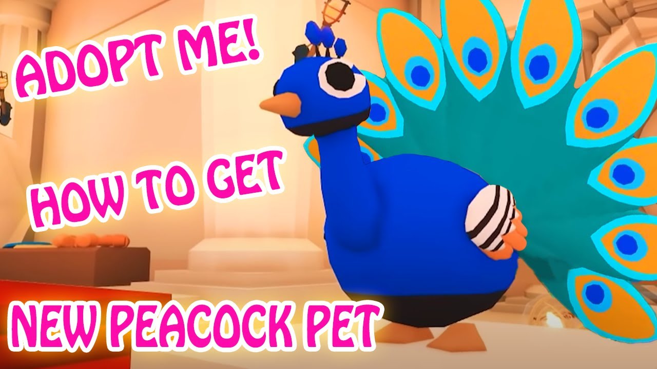 HOW TO GET PEACOCK PET IN ADOPT ME 🦚 Roblox Adopt Me New Update - YouTube