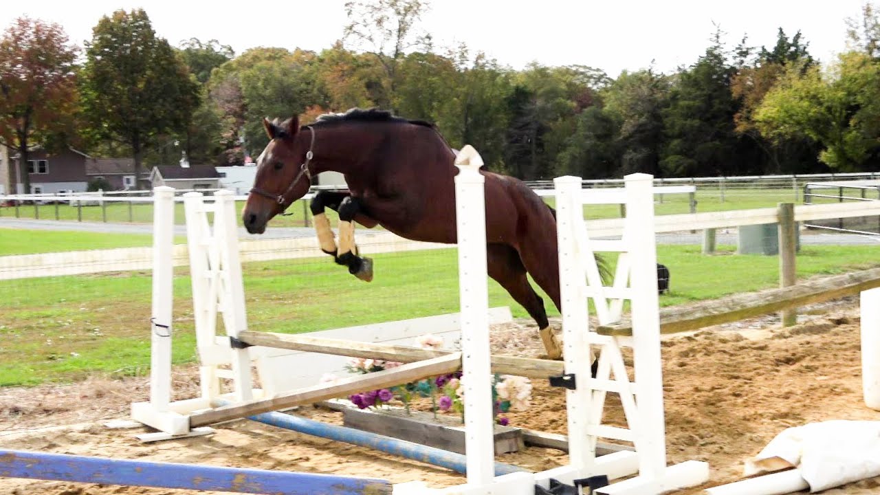 Big Time Operator 11 4 21 - YouTube