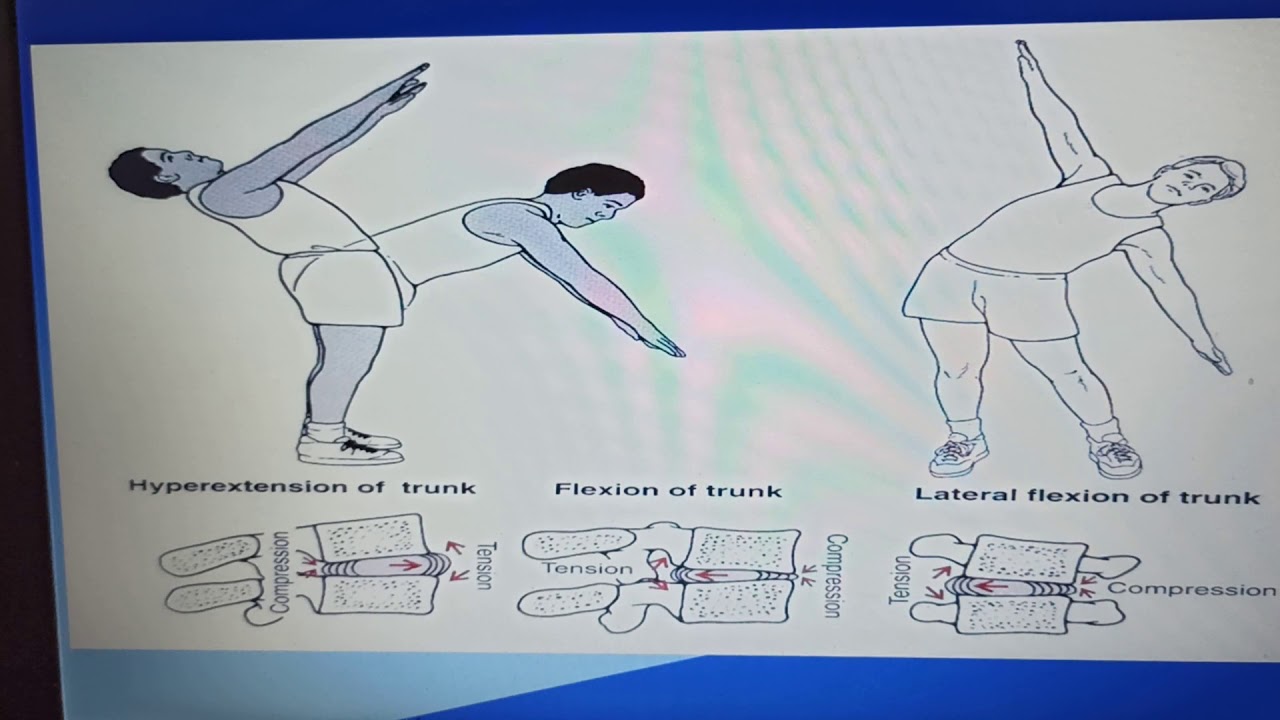 Manual mobilization of joints chapter#1spinal movements 2nd lecture ...
