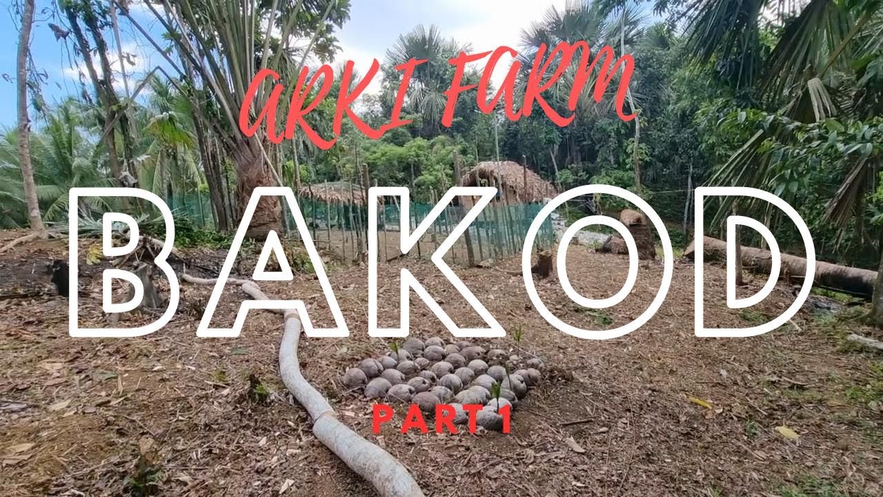 ARKI FARM - Pagbabakod Part 1 - YouTube