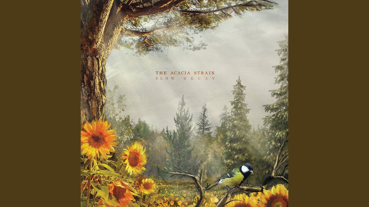 Seeing God (feat. Aaron Heard) - YouTube