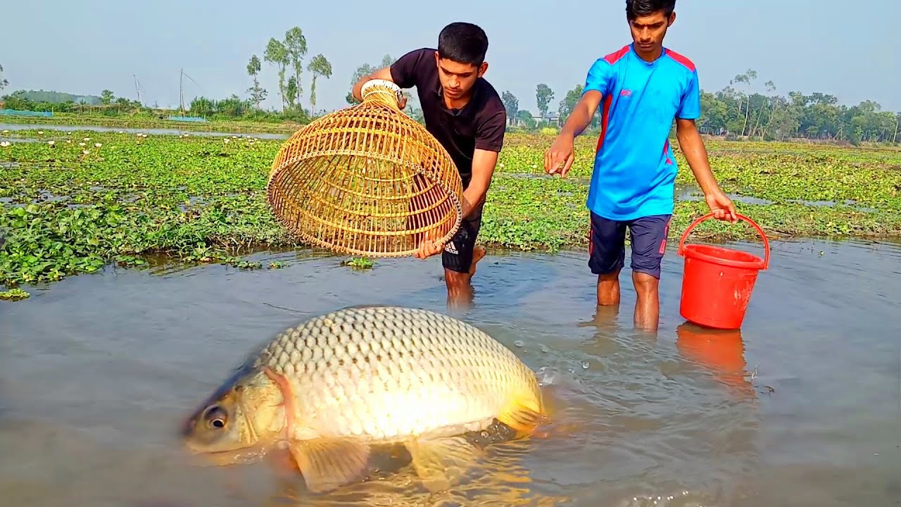 Really Best Polo Fishing Video | Traditional Fish Hunting With Bamboo ...