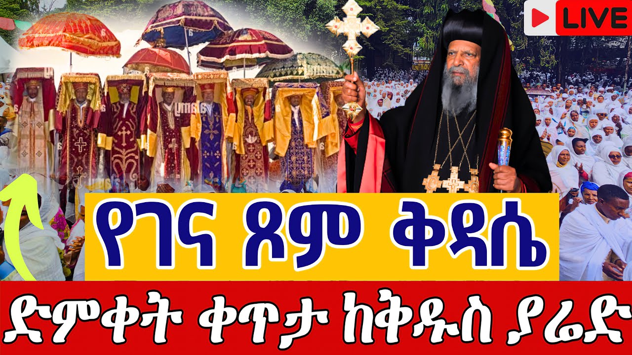 ♦️የንግሥ ቅዳሴ♦️ቀጥታ ከደብረ ይባቤ ቅዱስ ያሬድ ታኅሣሥ 11 || EOTC Live from Addis Ababa ...