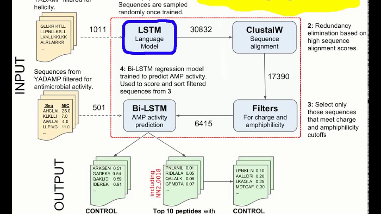 LSTM animation - YouTube
