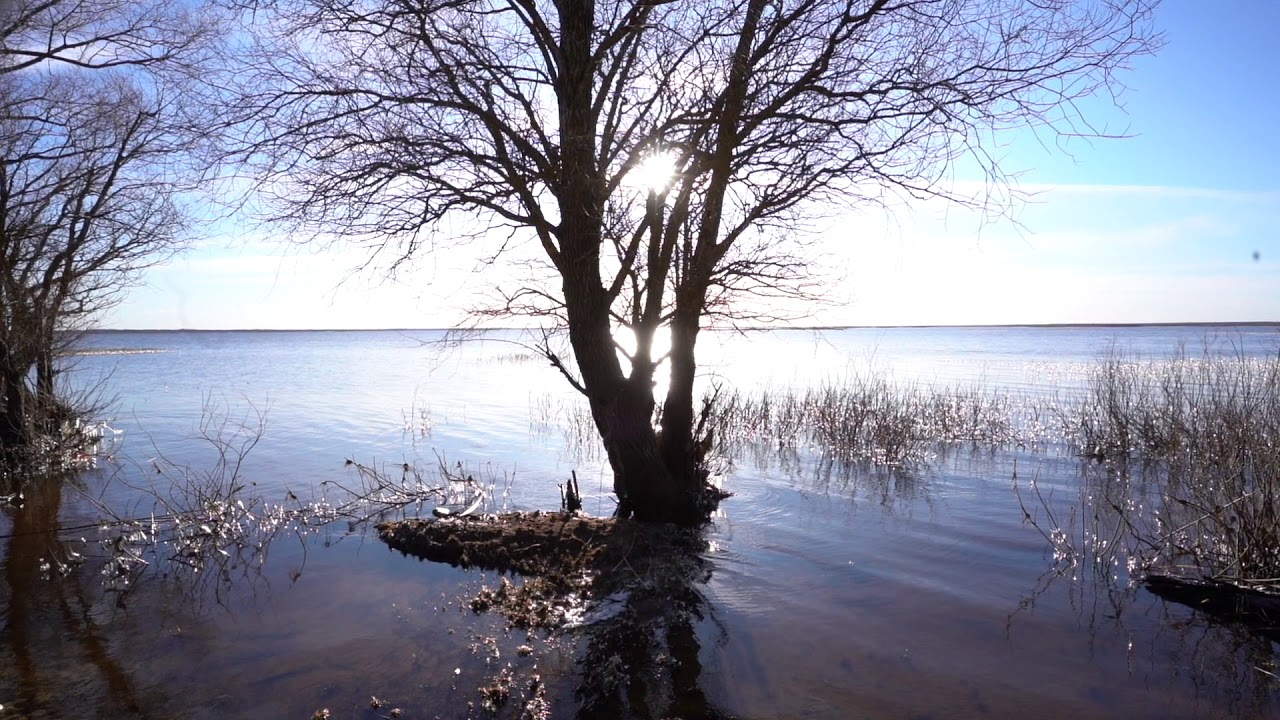 (17) Sunshine in Spring / Saules stari pavasarī / Солнечные лучи весной ...