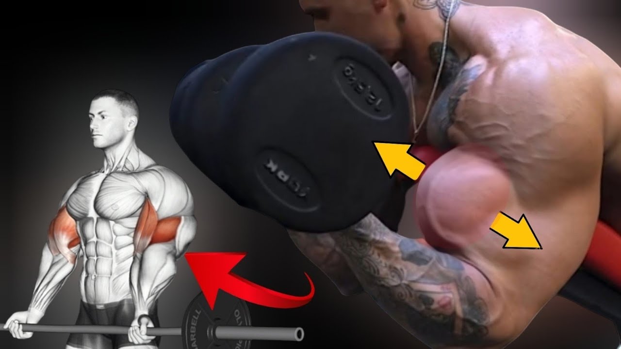 Best Bicep Exercises To Build Bigger Bicep Muscle | Bicep Workout With ...