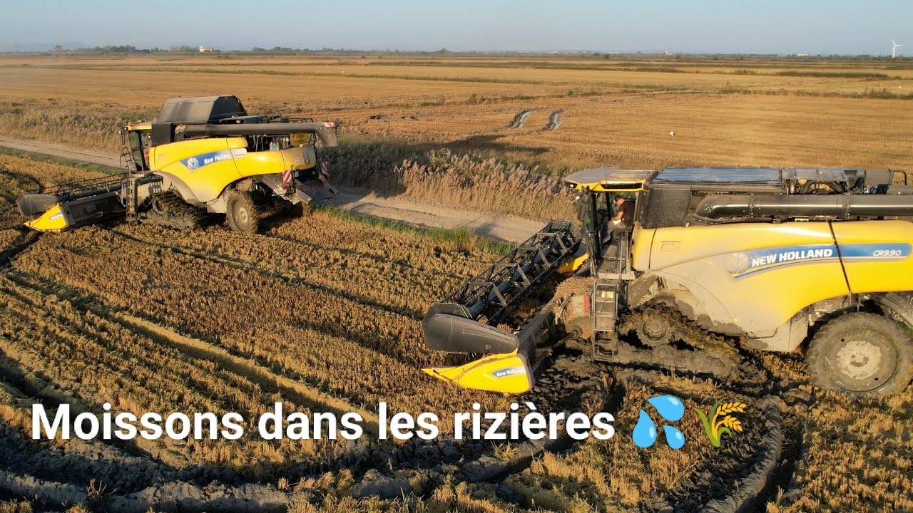 Moissons de riz 2023: NEW HOLLAND CR x MacDon 10,5m🌾🇨🇵 Camargue - YouTube