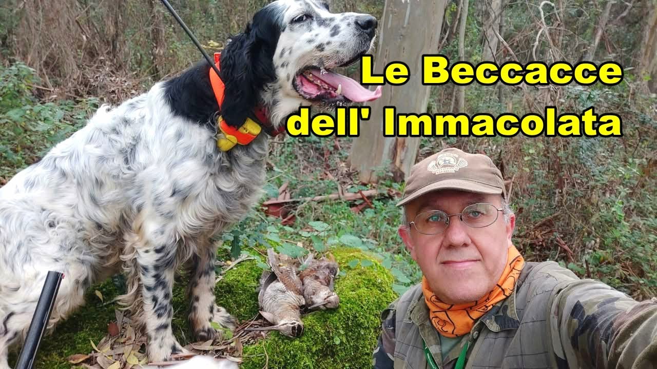 🎅🎄Le Beccacce dell' Immacolata - Dicembre 2024 - Caccia alla Beccaccia ...