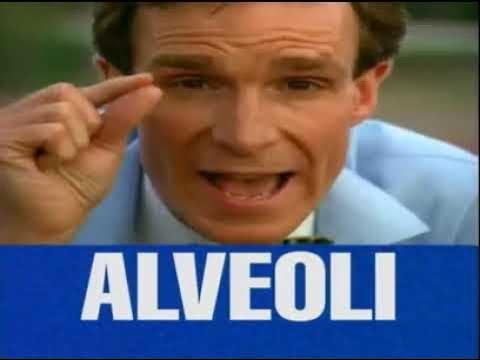 bill nye the science guy s 2 e 20 respiration freedownloadvideo net ...