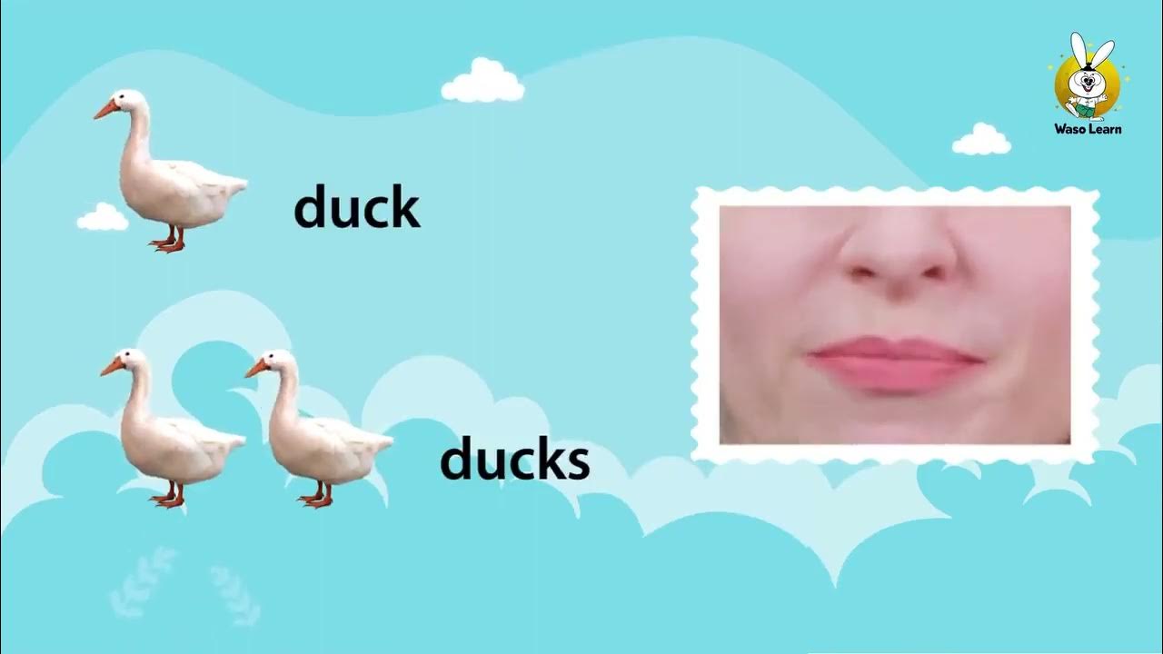 Grade 4 Unit 2 Lesson 1 2A - YouTube