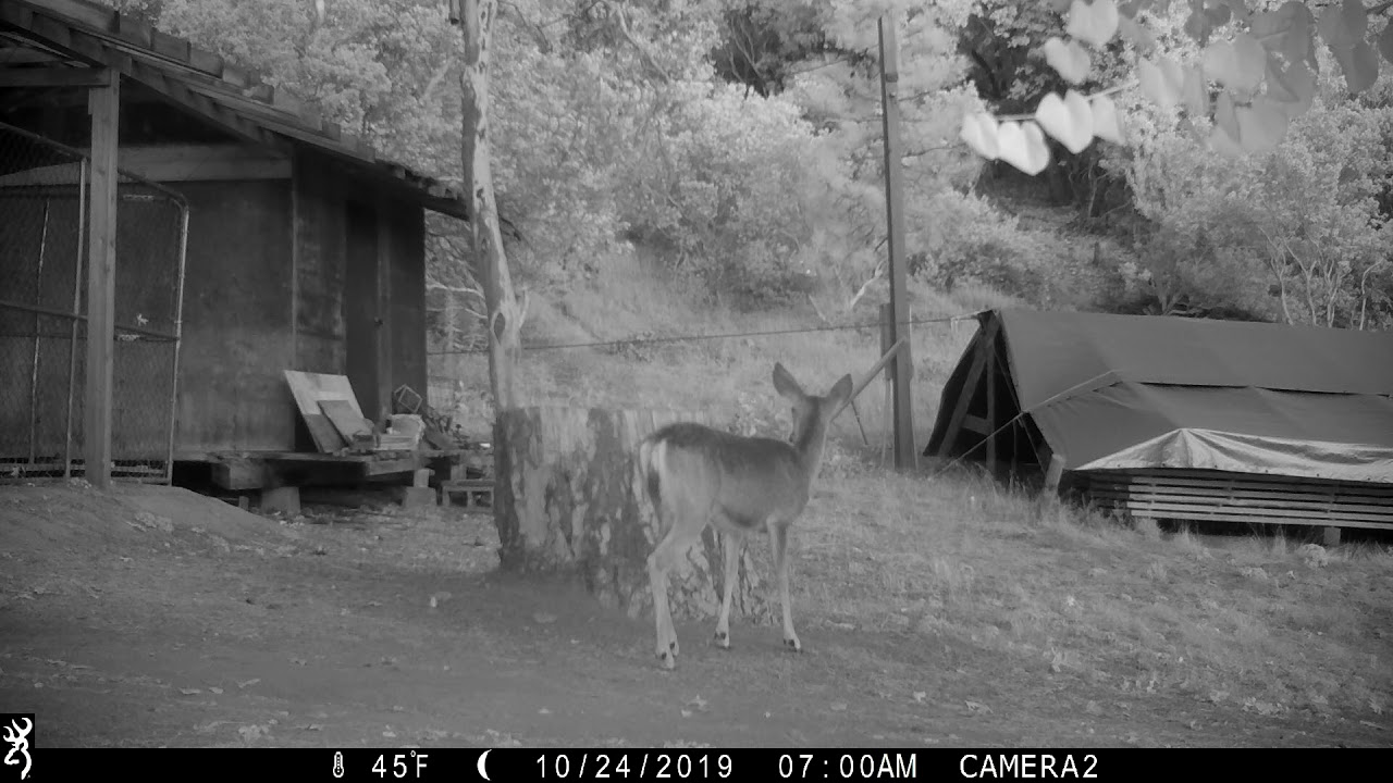 OCT 24 DOE FART - YouTube