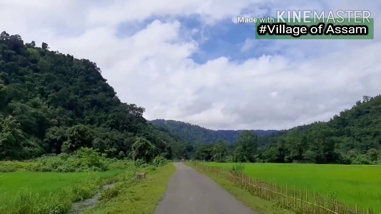 #Village Of Assam . Forest & Beauty Of Assam - YouTube